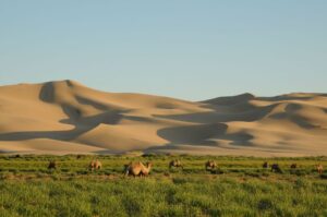 The Gobi Desert: Asia’s Cold And Harsh Landscape » Ubud Tropical